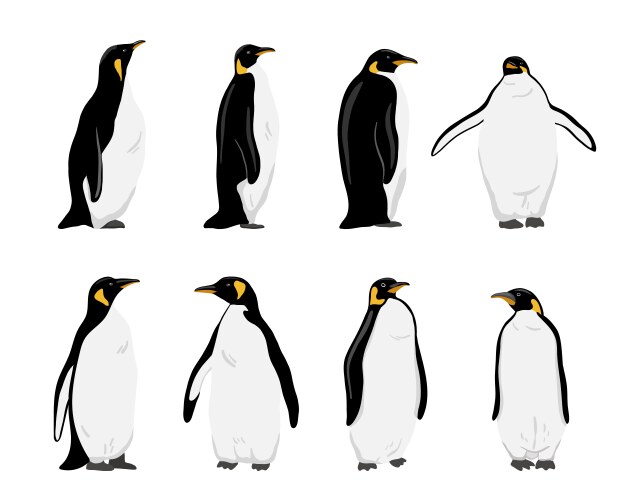 Penguin Vector Images (over 37,000)