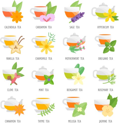 Cinnamon tea Royalty Free Vector Image - VectorStock