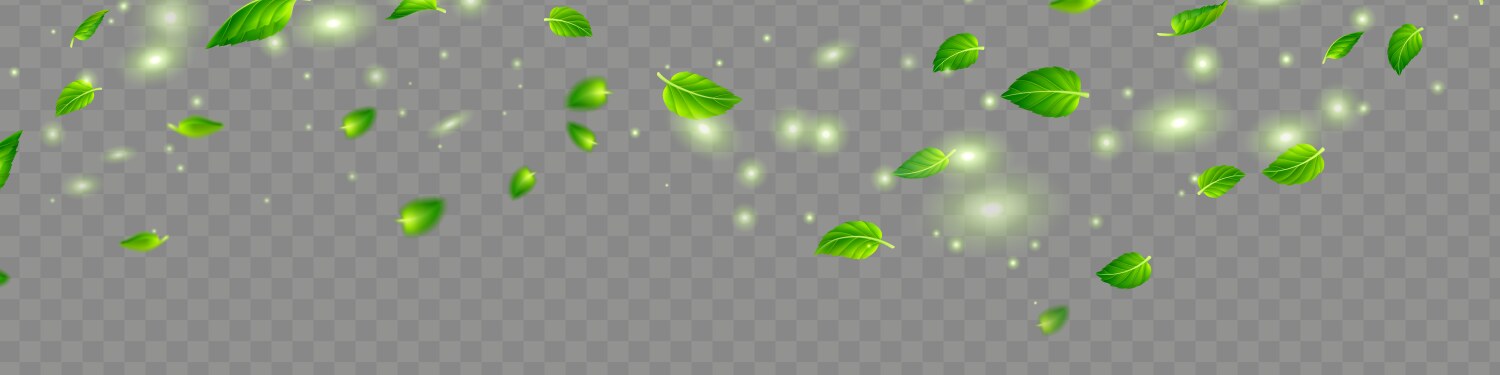 Green shiny line spiral spring wind effect Vector Image