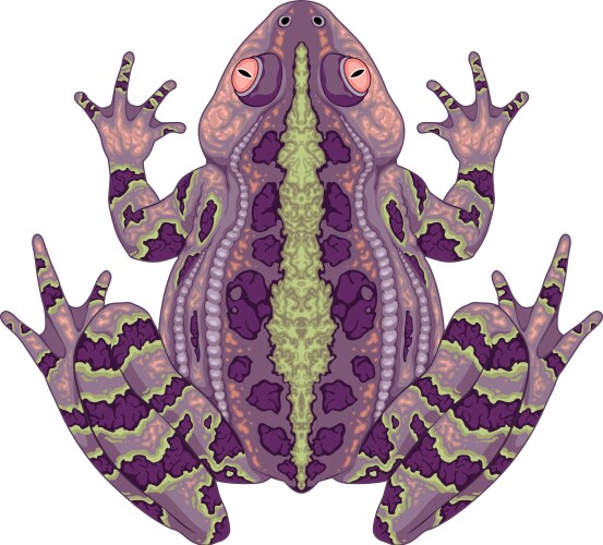 Animal Top View Vector Images (over 3,000)