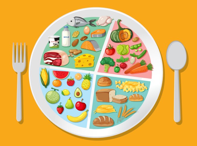 Food Groups Vector Images (over 77,000)