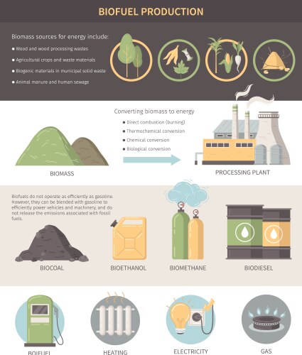 Biofuel production infographics scheme Royalty Free Vector