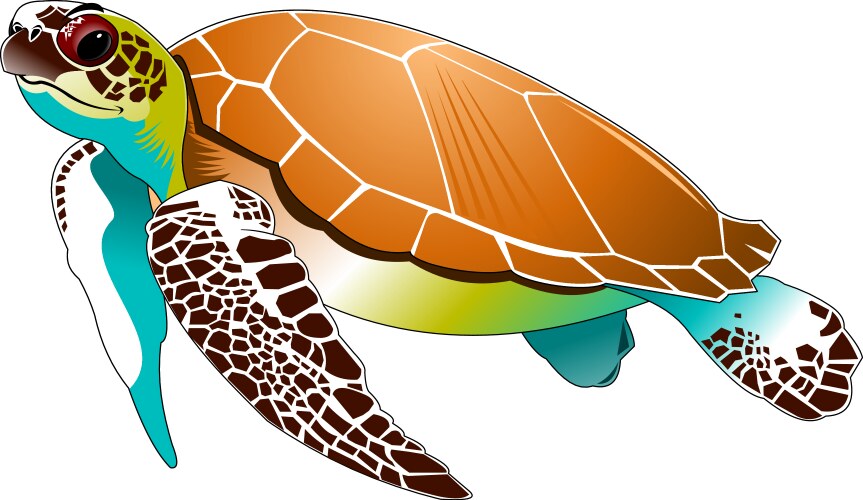 Cartoon sea turtle isolated on white background Vector Image
