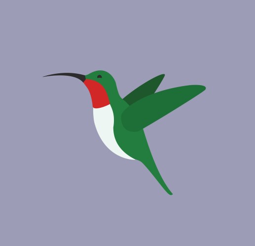 Hummingbird Vector Images (over 10,000)