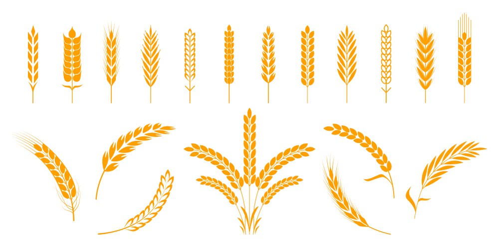Barley Vector Images (over 35,000)
