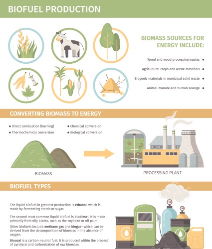 Biofuel production infographics layout Royalty Free Vector