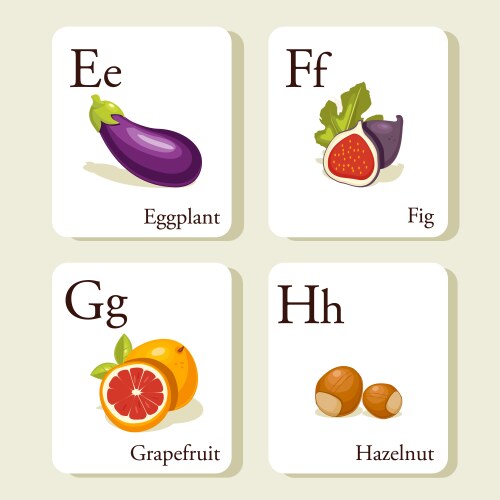 Vegetables alphabet g is for ginger Royalty Free Vector