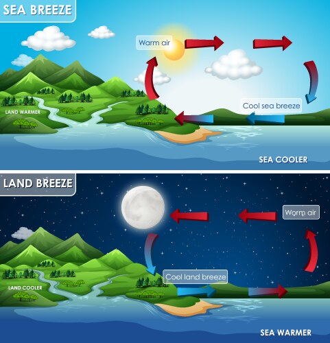 Science poster design for sea breeze Royalty Free Vector