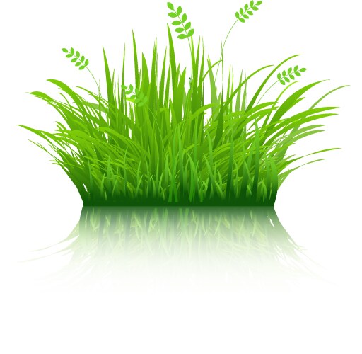 Grass egg symbol Royalty Free Vector Image - VectorStock