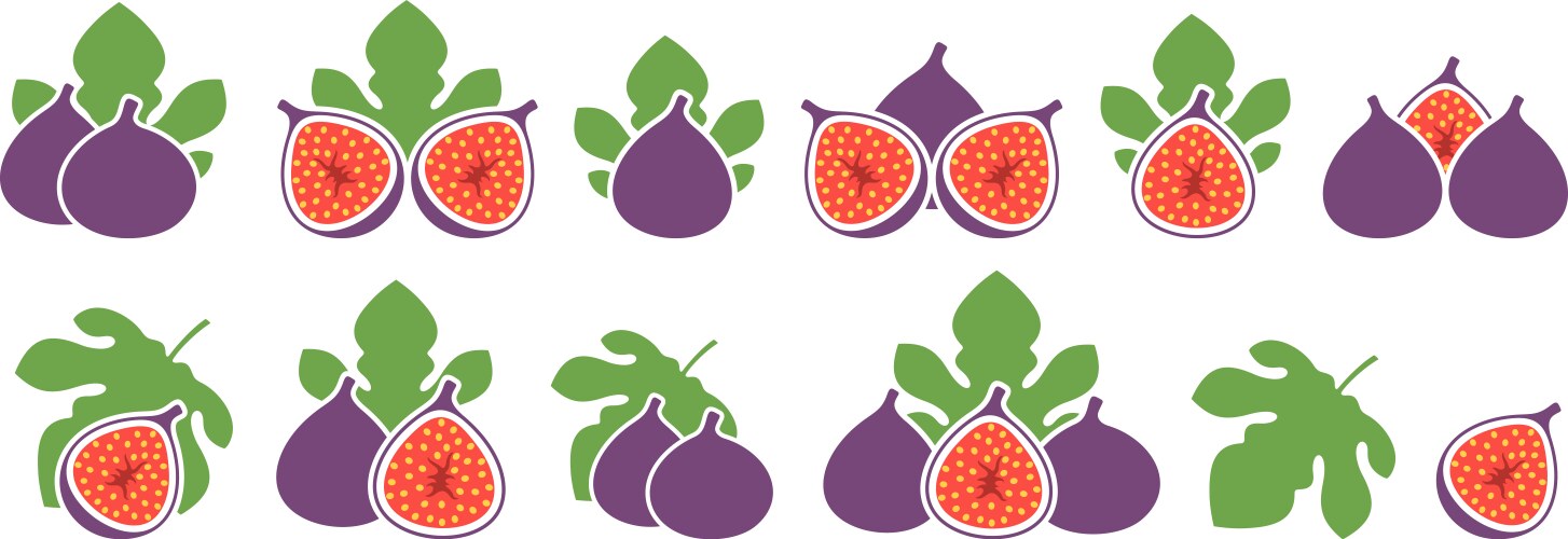 Fig Vector Images (over 9,200)