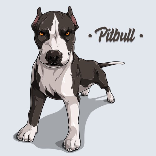Pit bull Royalty Free Vector Image - VectorStock