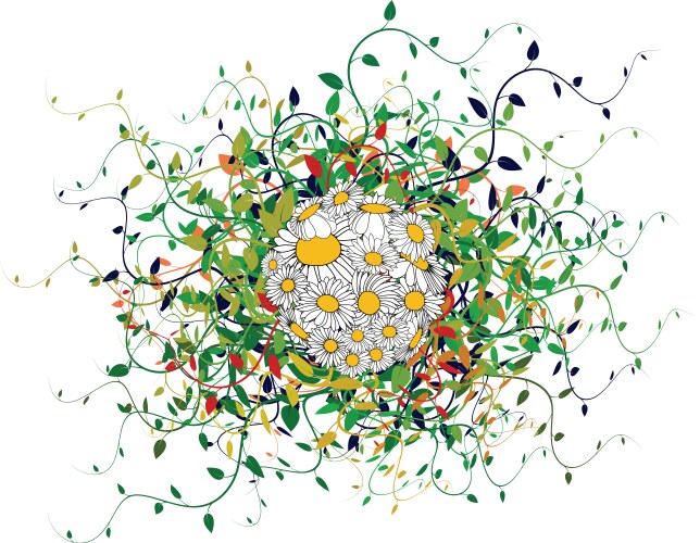 Floral frame Royalty Free Vector Image - VectorStock