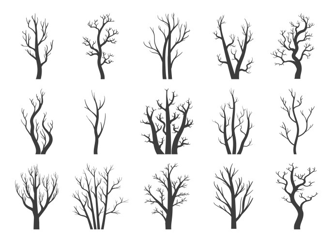 Winter Trees Vector Images (over 290,000)