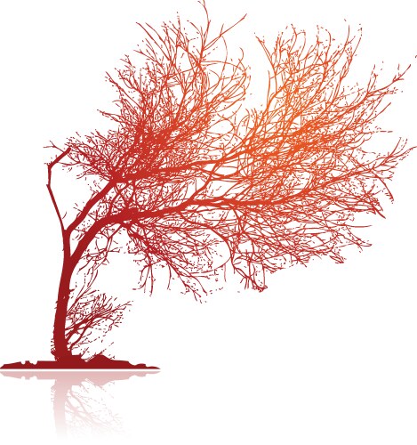 Tree Shadow Vector Images (over 28,000)