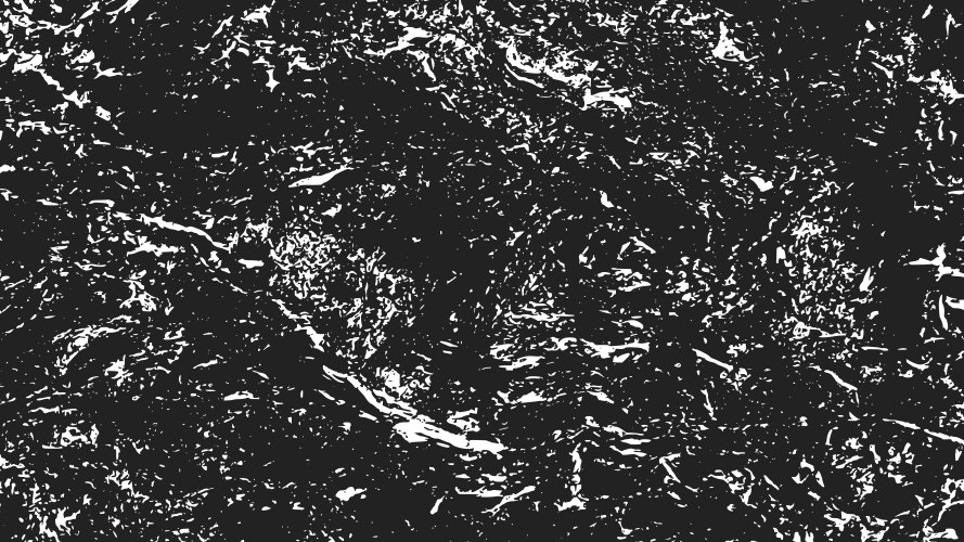 Worn black grunge texture Royalty Free Vector Image