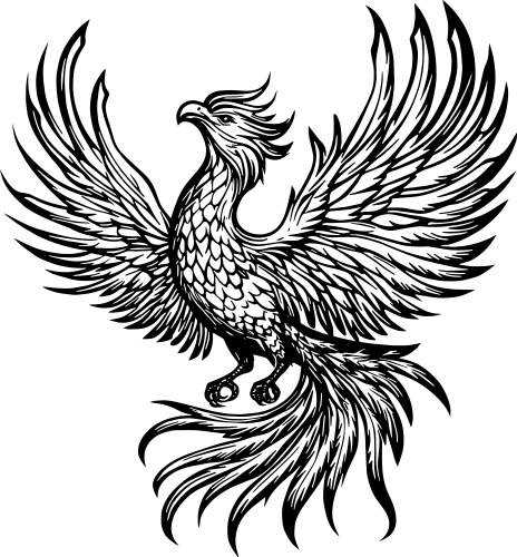 Phoenix Line Art Vector Images (over 4,500)