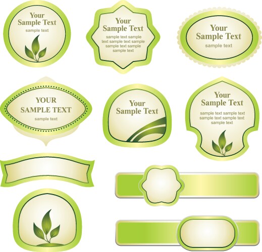 Marker marks green text selection format Vector Image