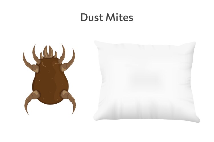 Dust Mite Vector Images (over 1,000)