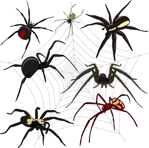 Free Spider Vector Images (over 4,300)