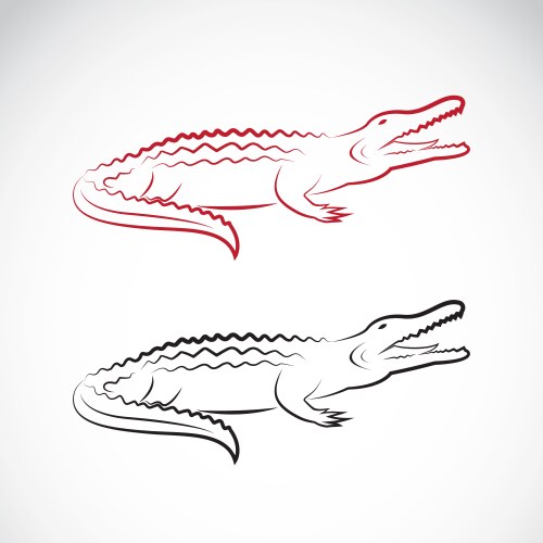 Crocodile Royalty Free Vector Image - VectorStock