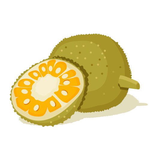 Jackfruit Vector Images (over 1,700)