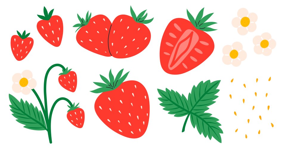 Strawberries Vector Images (over 130,000)