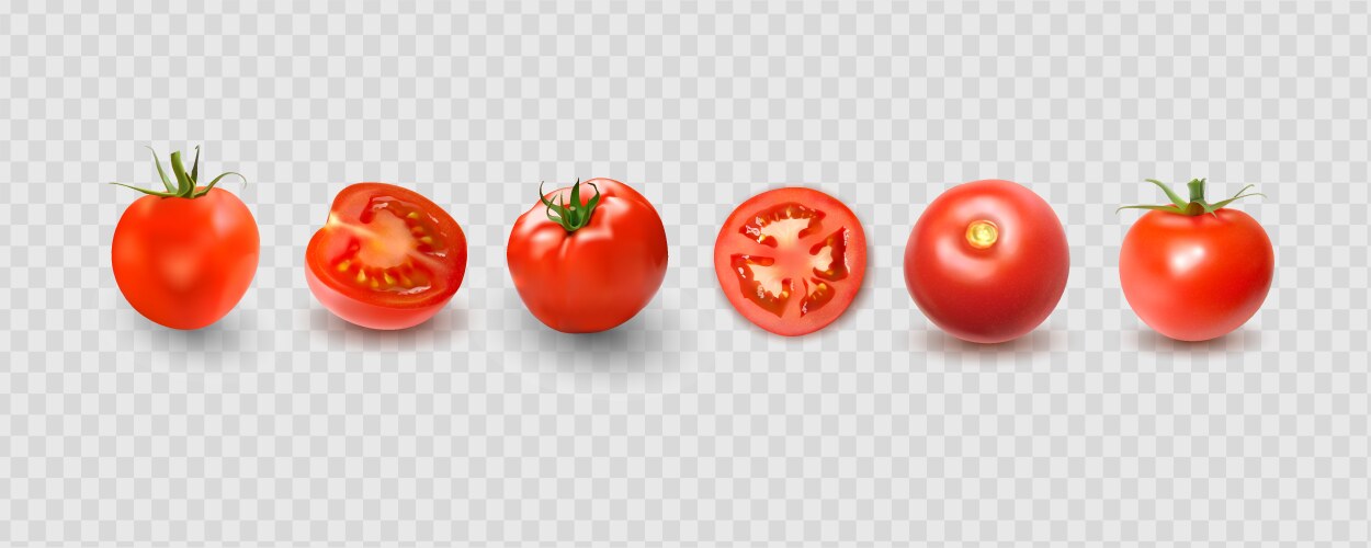 Tomato Vector Images (over 150,000)