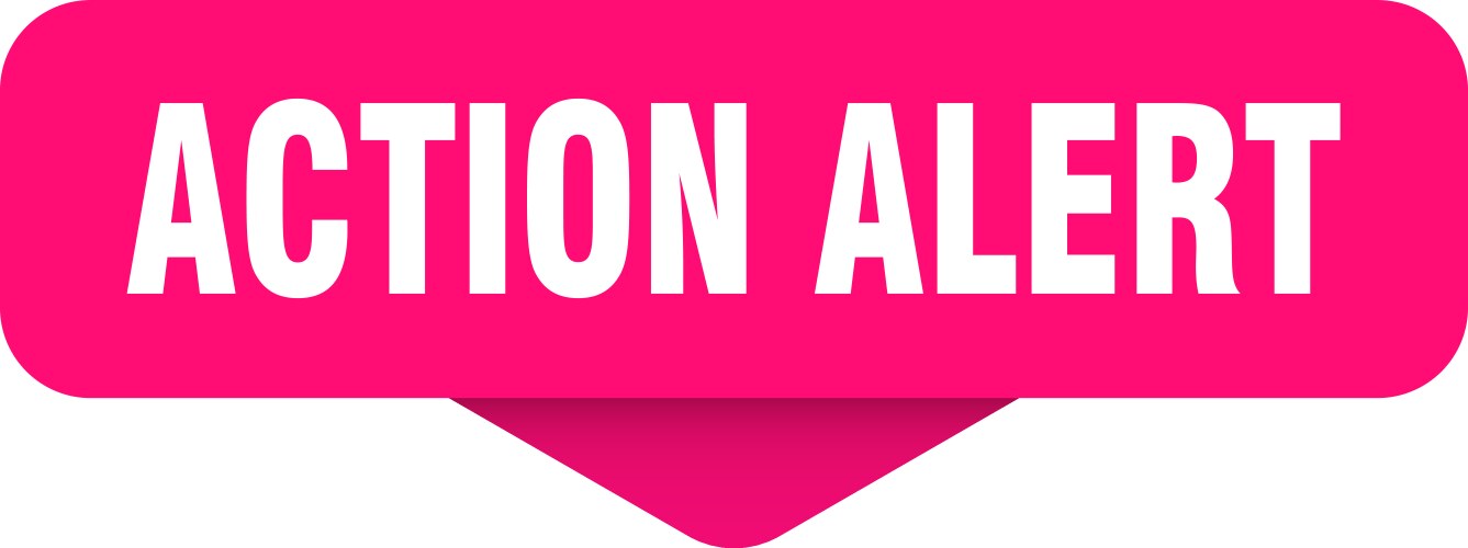 Corrective action sticker sign Royalty Free Vector Image