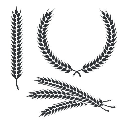 Barley Vector Images (over 37,000)