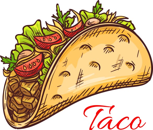 Taco drawing traditional mexican food Royalty Free Vector