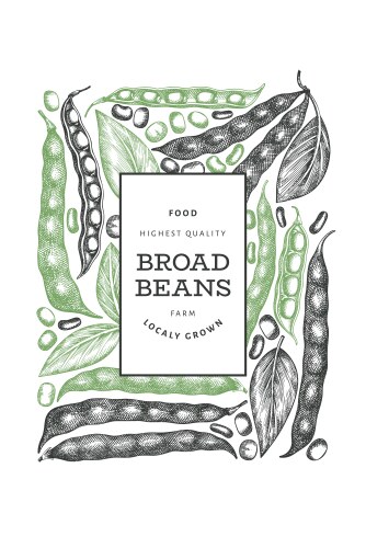 Hand drawn beans label Royalty Free Vector Image