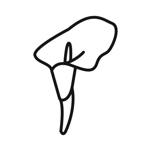 Calla Lily Logo Vector Images (over 210)