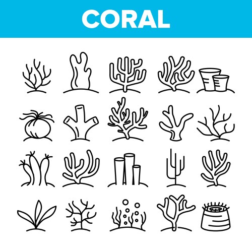 Corals hand drawn Royalty Free Vector Image - VectorStock