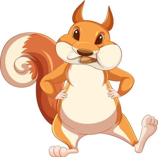 Cute squirrel cartoon Royalty Free Vector Image