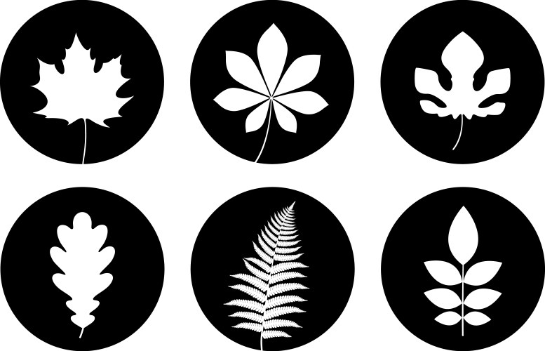 Leaf Vector Images (over 2.3 million)