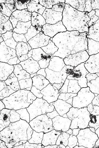 Craquelure pattern grunge cracks cracked painted Vector Image