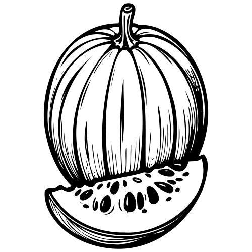 Arava melon drawing realistic outline fruit Vector Image