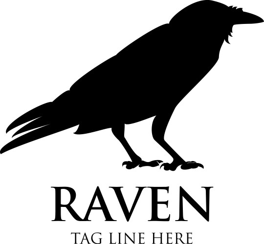Witch with raven Royalty Free Vector Image - VectorStock