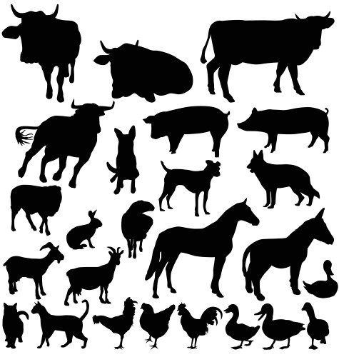 Free Animals Vector Images (over 55,000)
