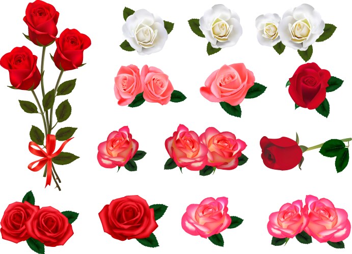 Roses Vector Images (over 290,000)