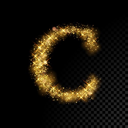 Black and gold background with glitter frame Vector Image