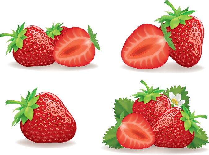Strawberry barrow Royalty Free Vector Image - VectorStock