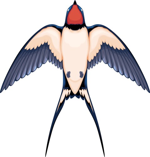 Animal Top View Vector Images (over 3,000)