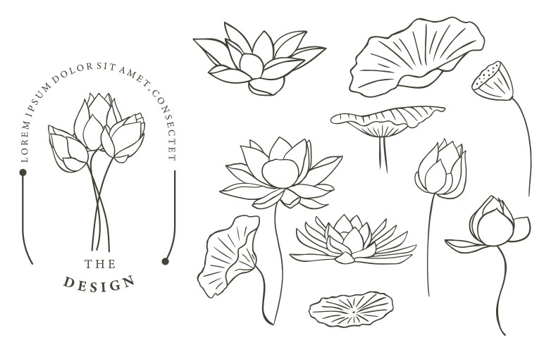 Lotus Outline Vector Images (over 16,000)