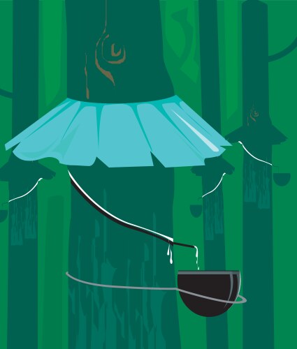 Rubber Tree Plantation Vector Images (53)
