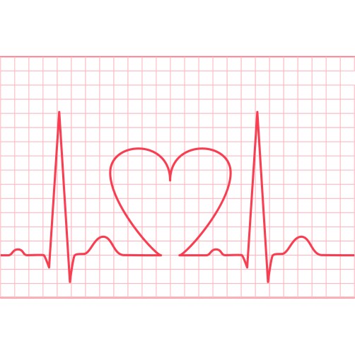 Electrocardiogram Royalty Free Vector Image - VectorStock