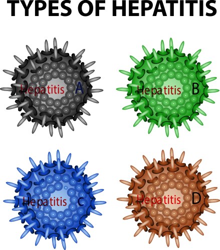 Hepatitis c the introduction Royalty Free Vector Image