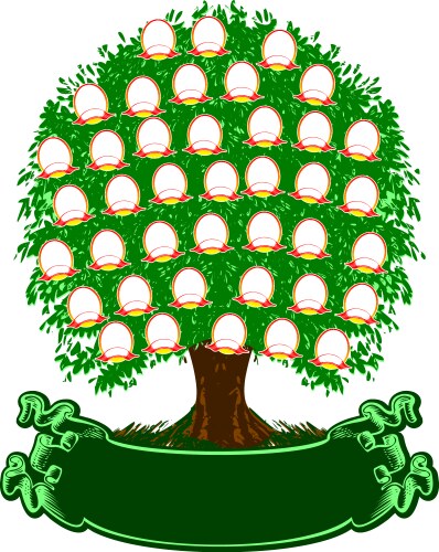 Family tree template Royalty Free Vector Image