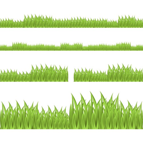 Grass collection isolated on white Royalty Free Vector Image