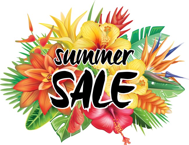 Summer sale banner Royalty Free Vector Image - VectorStock